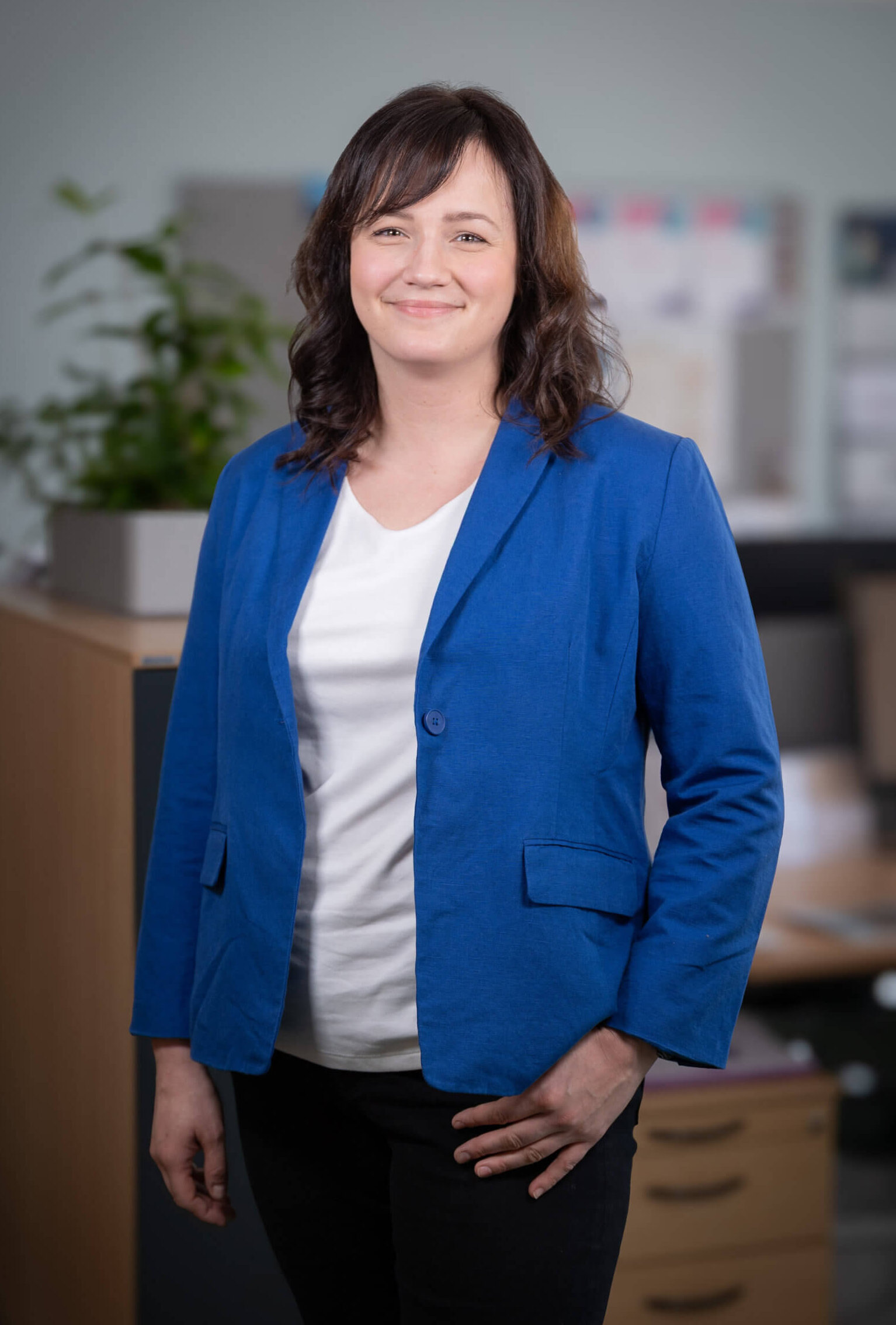 Ihr Team für Erfolg | Sattler Media